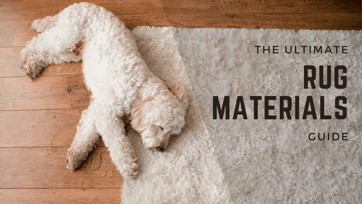 Ultimate Guide: The Best Tips To Keep Your Rugs Clean with Pets ...
